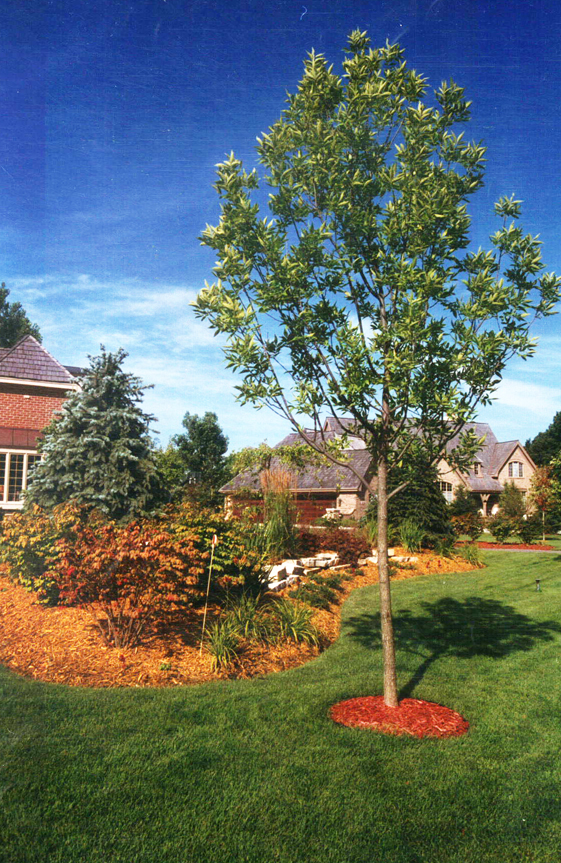 garden4 - COUNTRY SCAPE LANDSCAPING